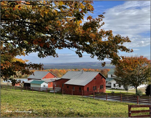 VIEW FROM ABOVE: Fall starts letting go | News, Sports, Jobs - Observer ...